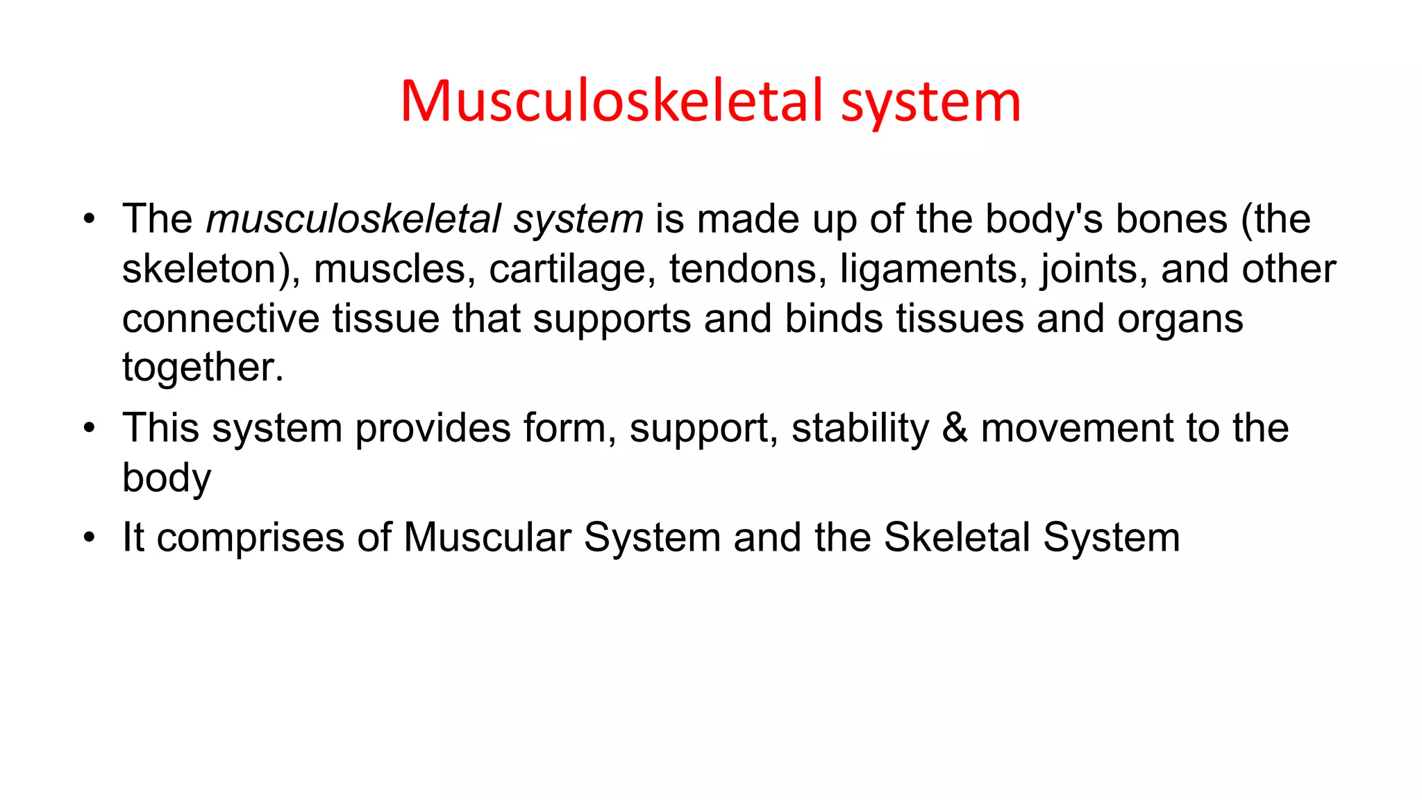 Musculoskeletal System | PPTX
