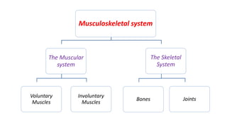 Musculoskeletal System | PPTX