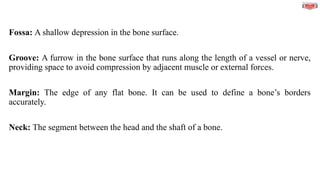 Musculoskeltal system include all disorder | PDF