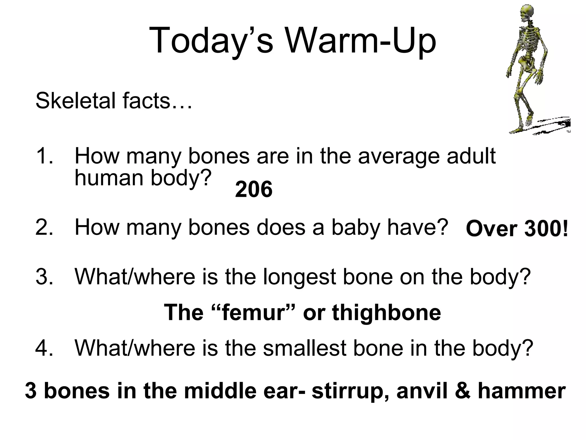 Skeletal and Muscular System | PPT