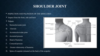 musculoskeletal_system_examination[1] (1) (3).pptx