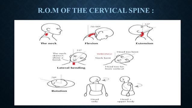 musculoskeletal_system_examination[1] (1) (3).pptx