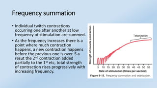Musculoskeletal System II.pptxhdzhdhxdhhdh | PPTX