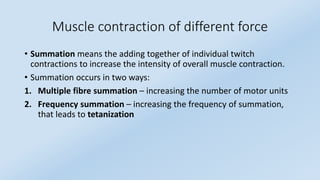 Musculoskeletal System II.pptxhdzhdhxdhhdh | PPTX