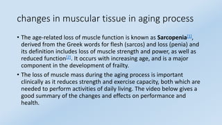 Musculoskeletal System III.pptxjgfghfgjfgjfkjg | PPTX