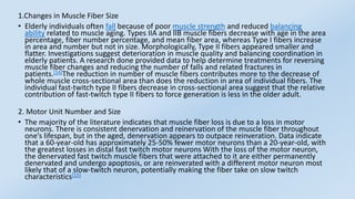 Musculoskeletal System III.pptxjgfghfgjfgjfkjg | PPTX