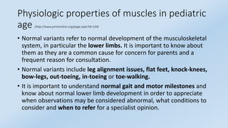 Musculoskeletal System III.pptxjgfghfgjfgjfkjg | PPTX