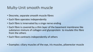 Musculoskeletal System III.pptxjgfghfgjfgjfkjg | PPT