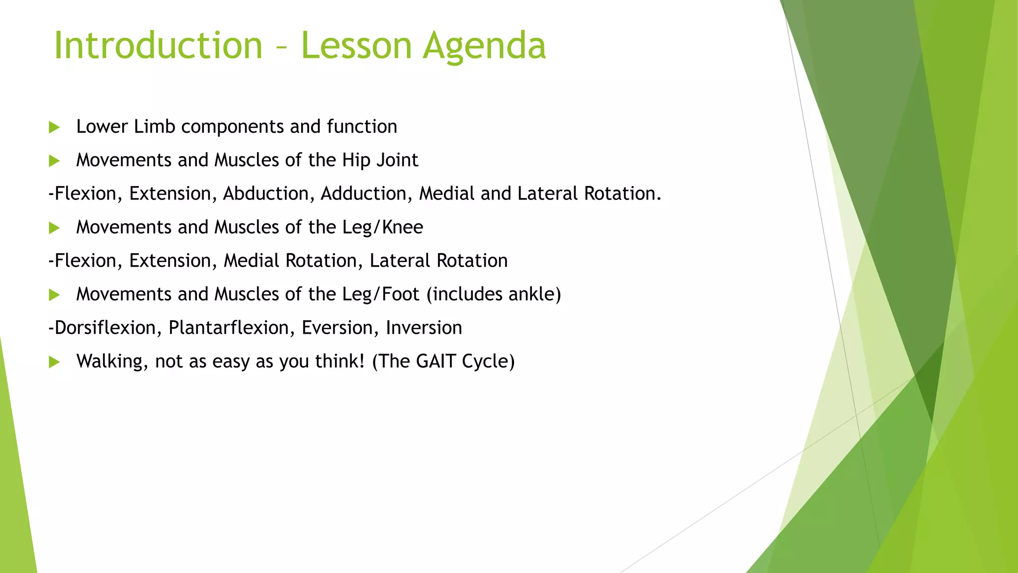 Musculoskeletal system – movements of the lower limb technologies | PPTX