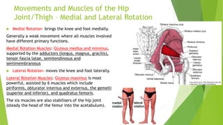 Musculoskeletal system – movements of the lower limb technologies | PPTX