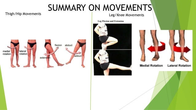 Musculoskeletal system – movements of the lower limb technologies