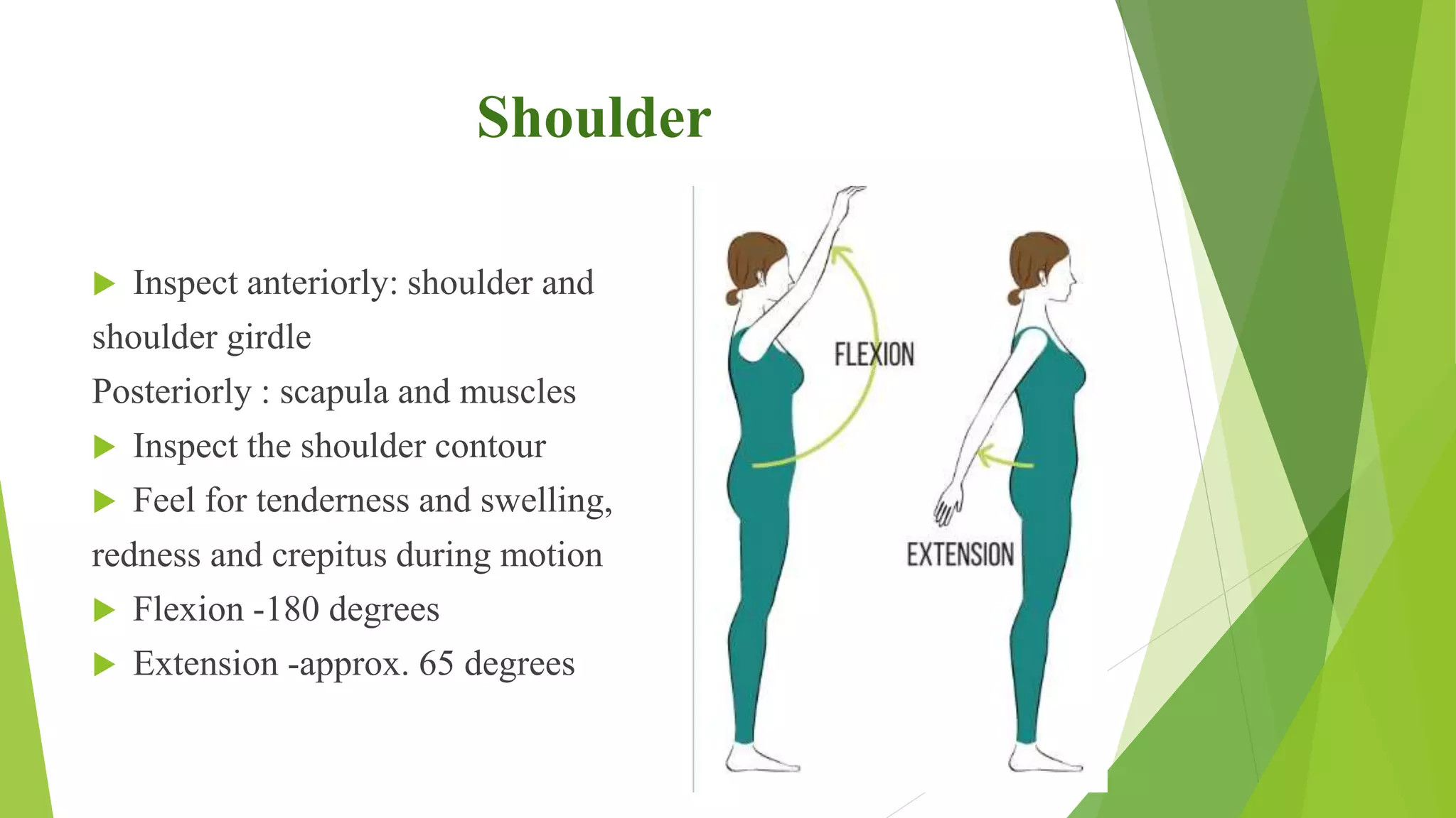 Musculoskeletal system swetha | PPTX