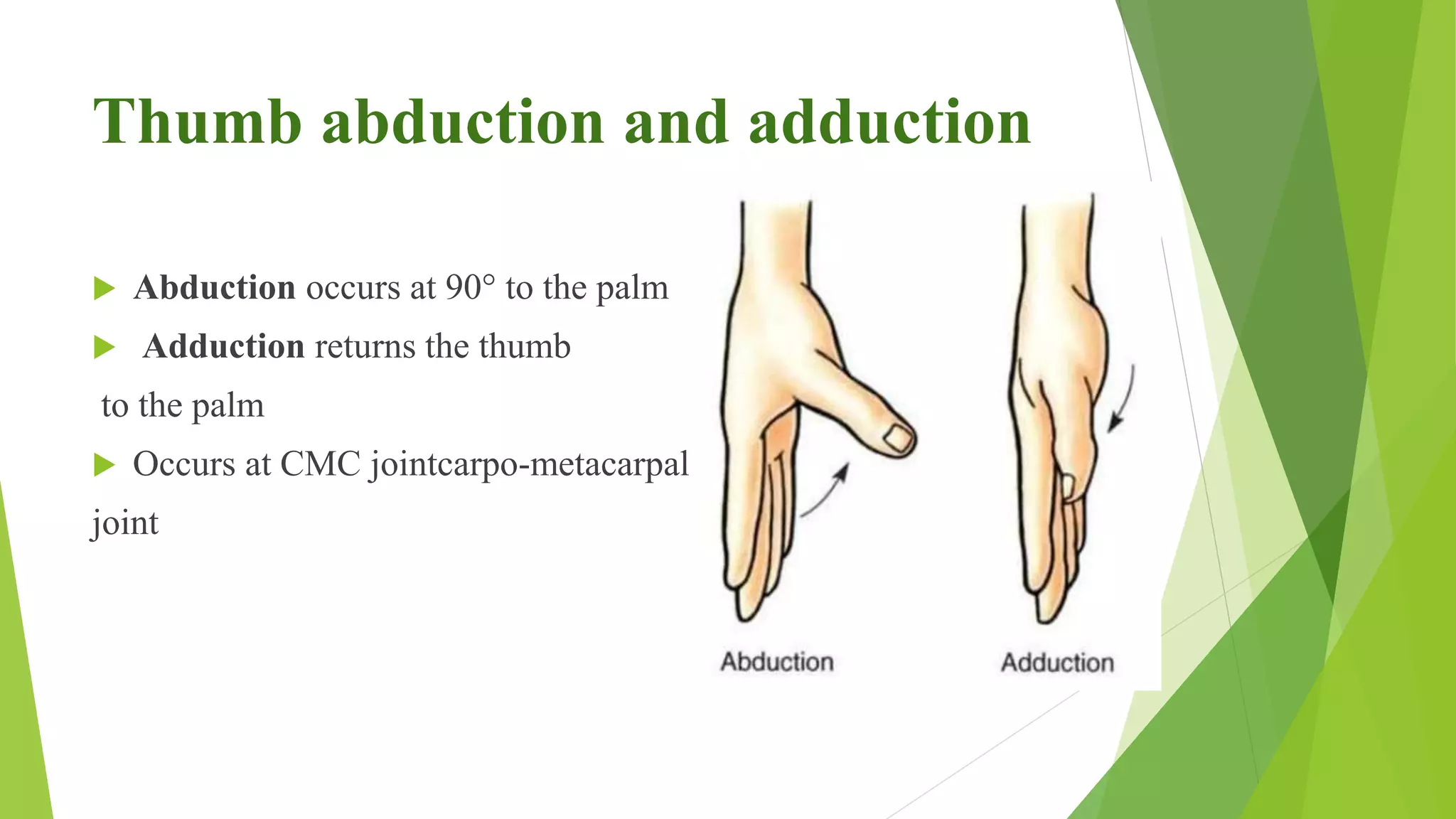 Musculoskeletal system swetha | PPTX
