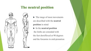 Musculoskeletal system swetha | PPTX