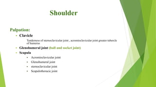 Musculoskeletal system swetha | PPTX