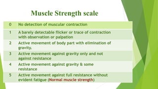 Musculoskeletal system swetha | PPTX