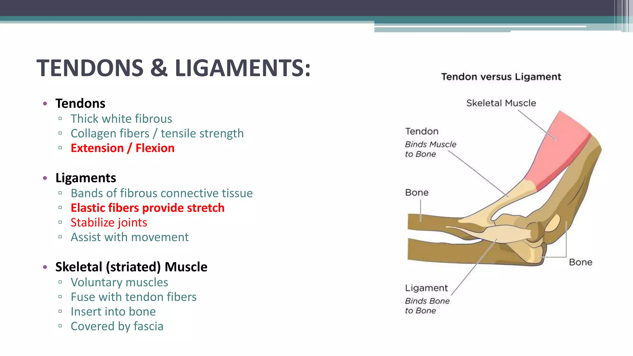 Musculoskeletal trauma | PPTX