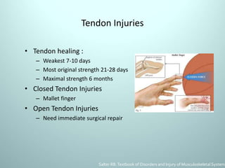 Musculoskeletal trauma - dr. Hendy .ppt