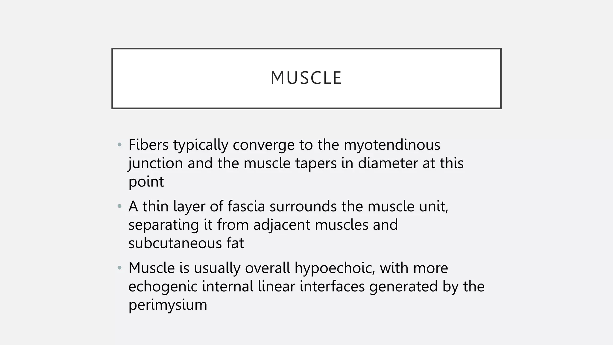 Musculoskeletal USG.pptx