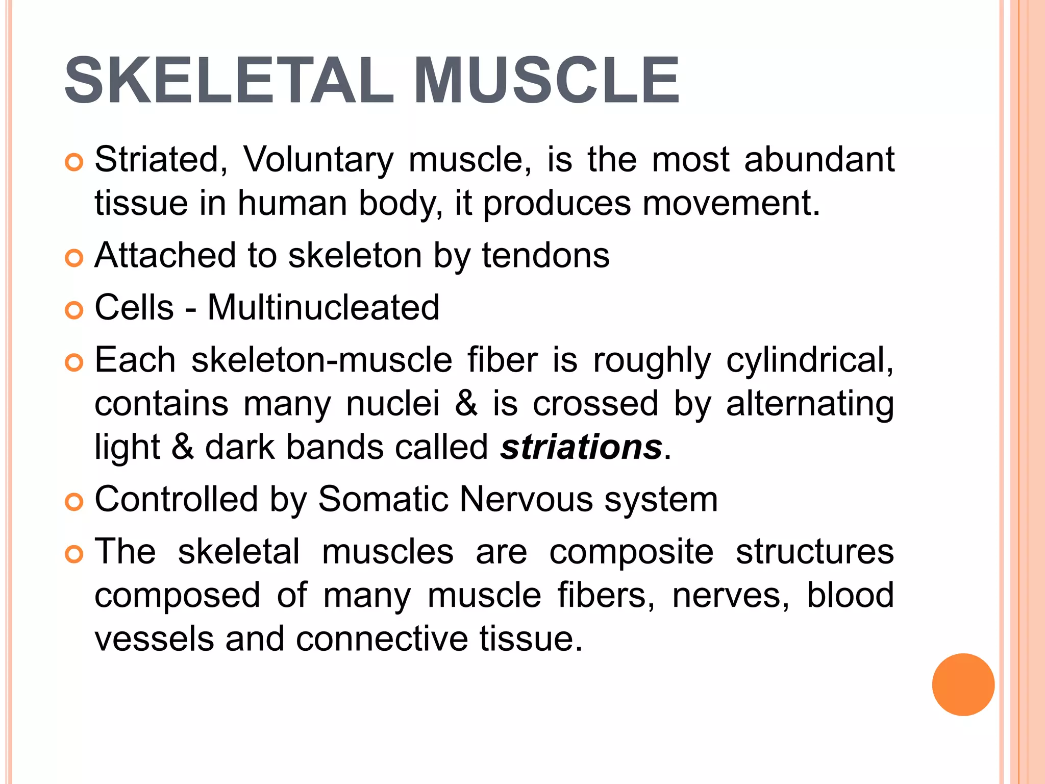 Musculoskeleton system | PPT