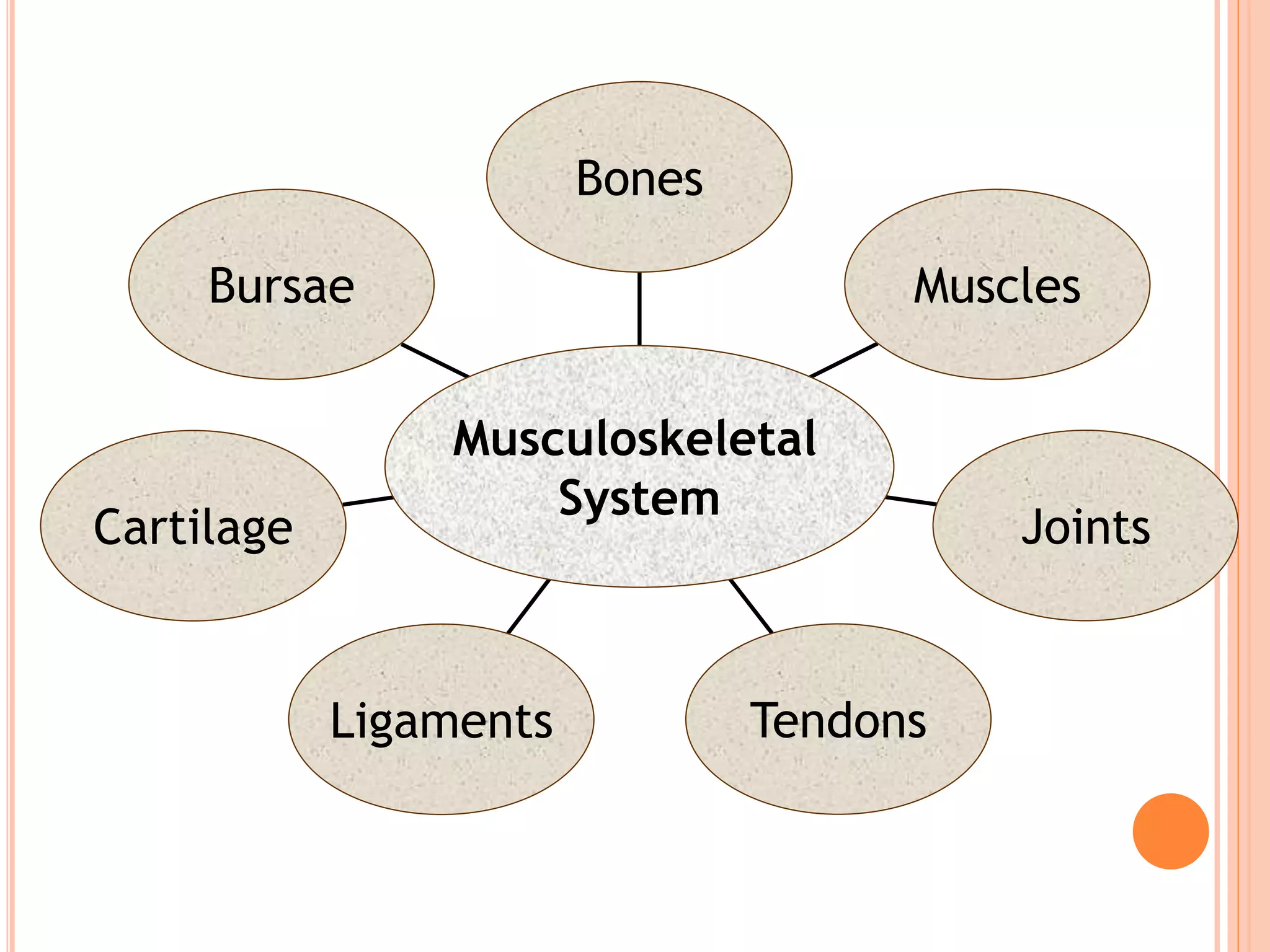 Musculoskeleton system | PPT
