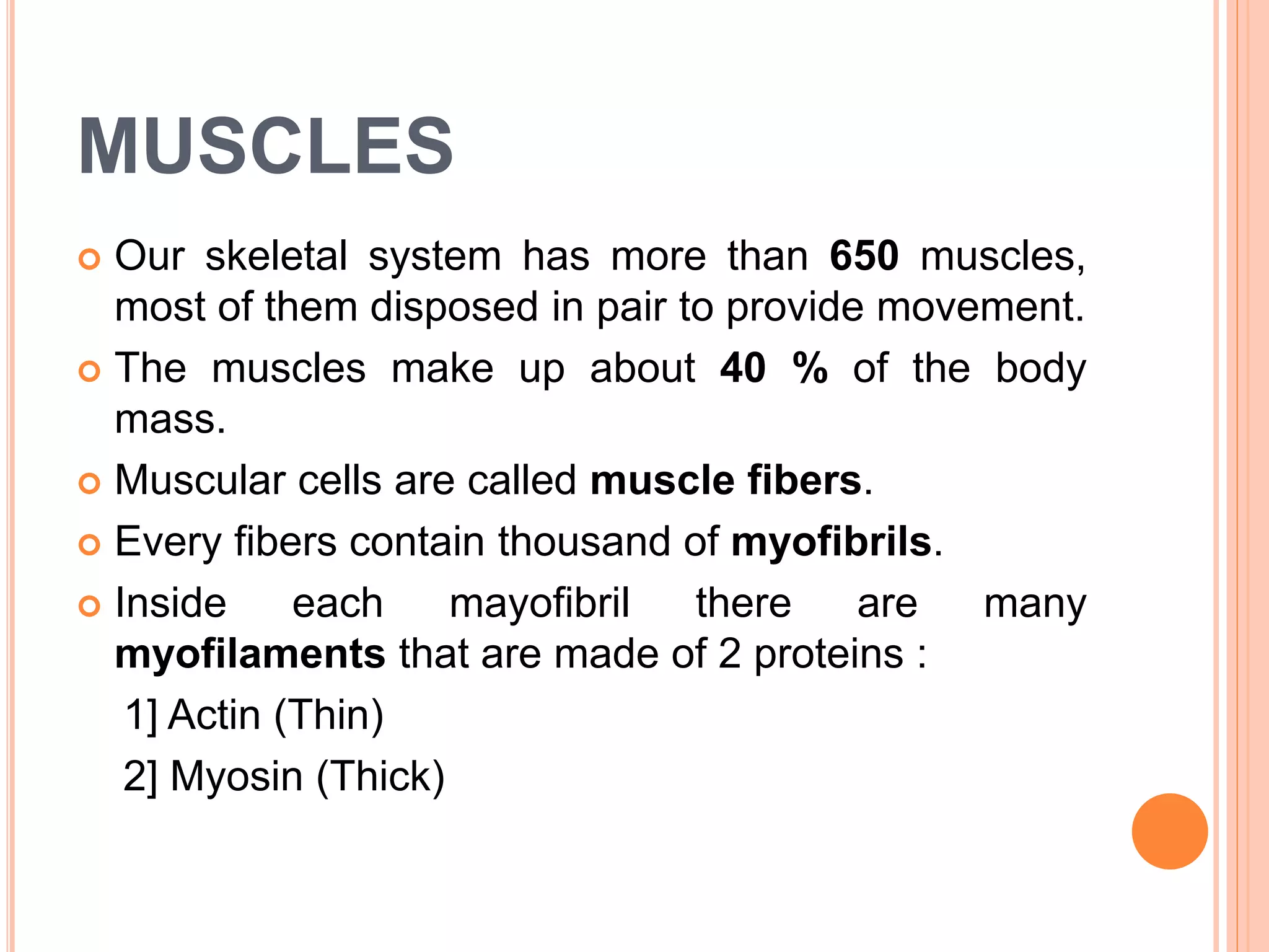 Musculoskeleton system | PPT
