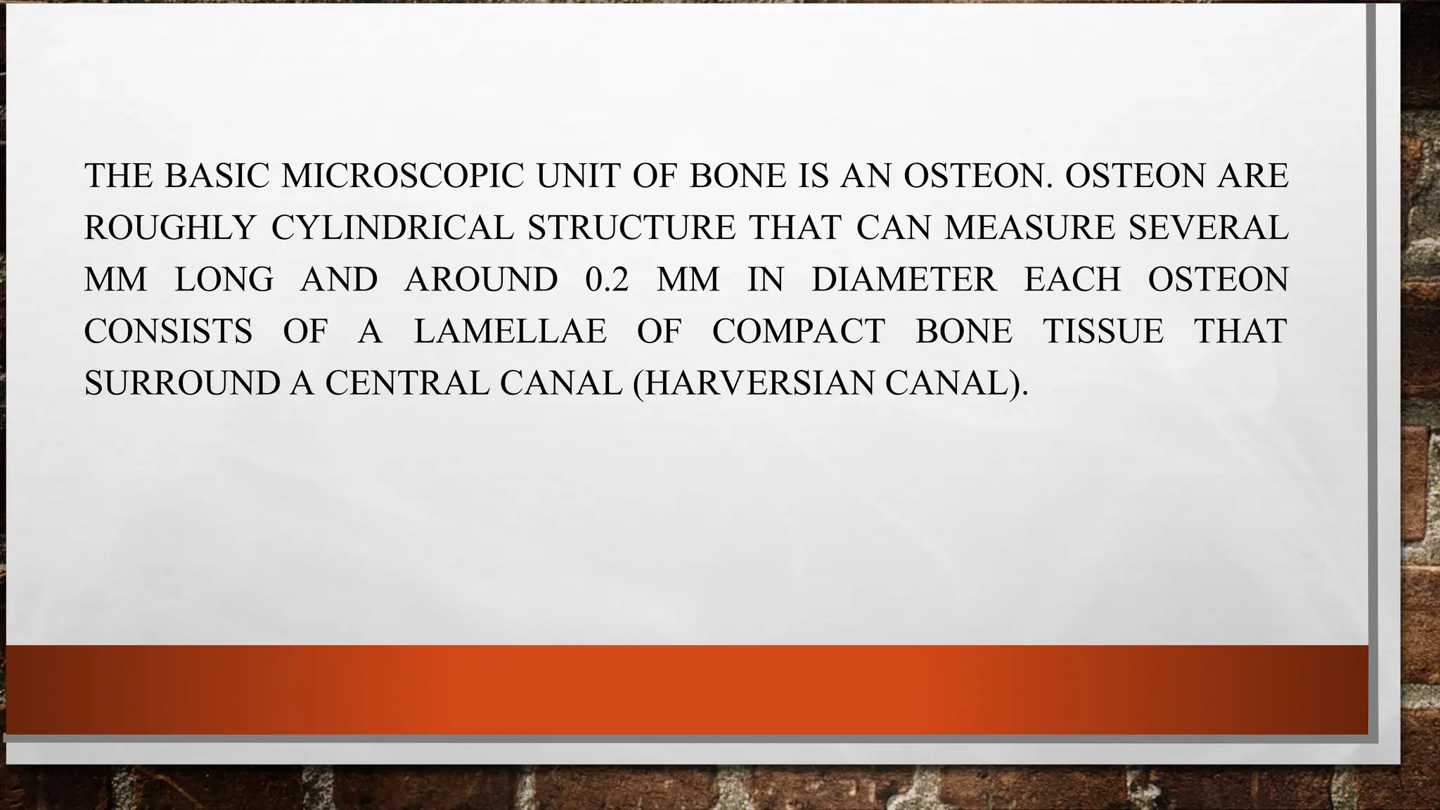 ANATOMY OF MUSCULOSKELETON SYSTEM PRESENTATION | PPT