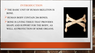 ANATOMY OF MUSCULOSKELETON SYSTEM PRESENTATION | PPT