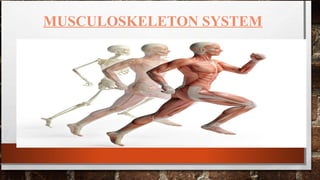 ANATOMY OF MUSCULOSKELETON SYSTEM PRESENTATION | PPT