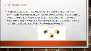 ANATOMY OF MUSCULOSKELETON SYSTEM PRESENTATION | PPT
