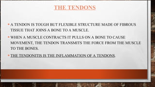 ANATOMY OF MUSCULOSKELETON SYSTEM PRESENTATION | PPT