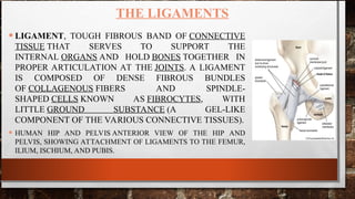 ANATOMY OF MUSCULOSKELETON SYSTEM PRESENTATION | PPT