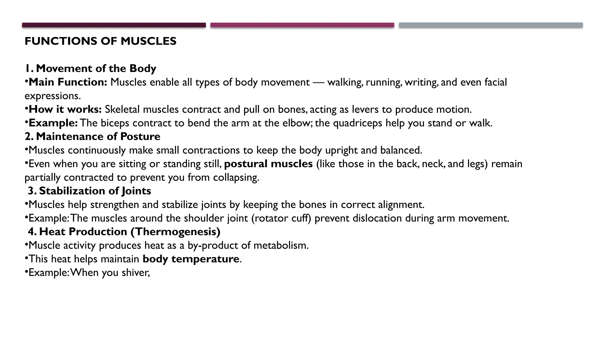 Musculoskeltal muscles presentation.pptx