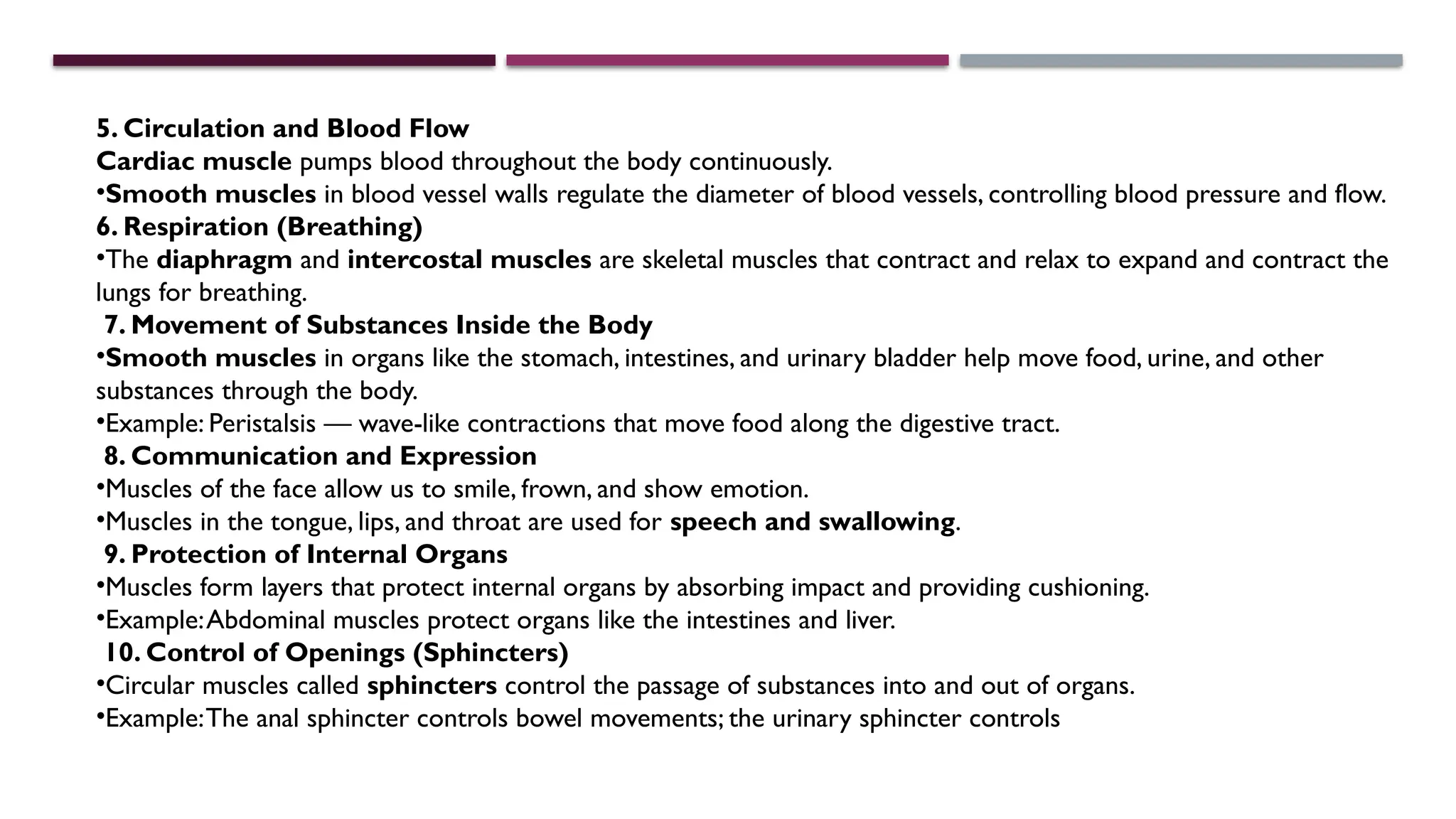 Musculoskeltal muscles presentation.pptx