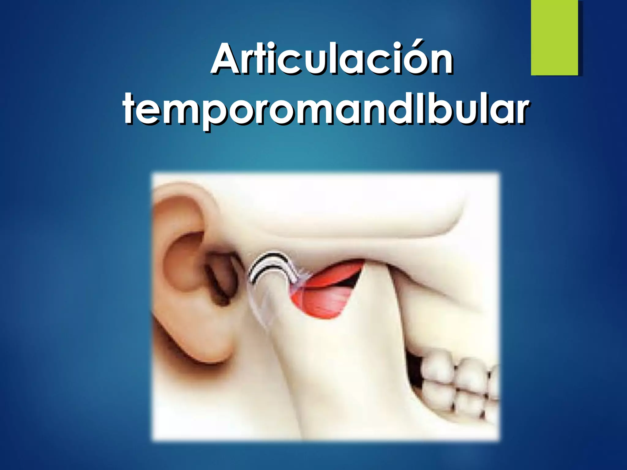 Musculos, ligamentos y atm | PPT