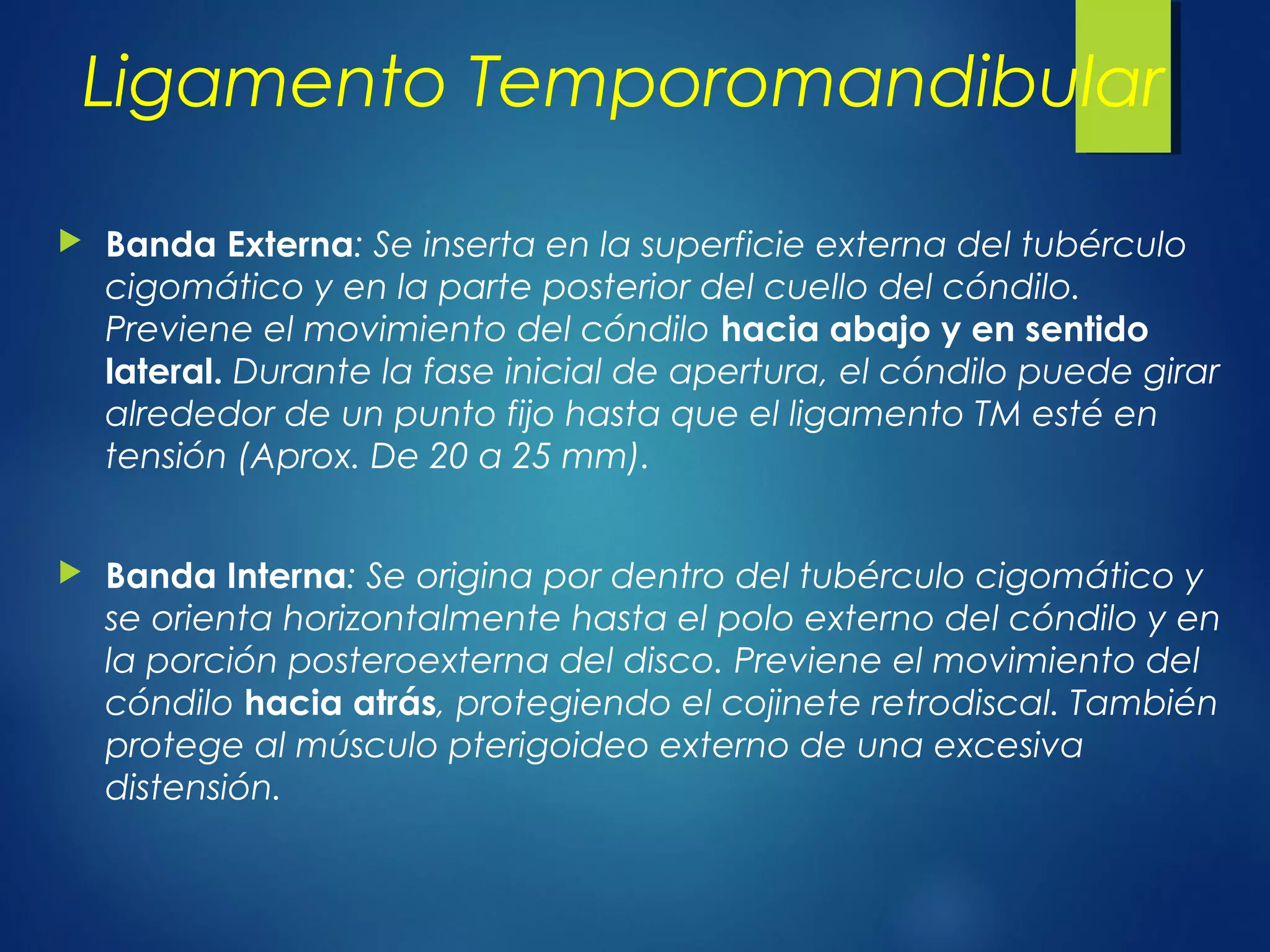 Musculos, ligamentos y atm | PPT