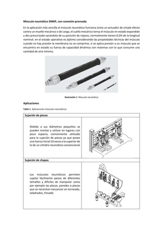 Musculos neumatico cruz jose | PDF