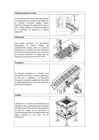 Musculos neumatico cruz jose | PDF
