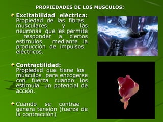 Musculos, CLASIFICACION Y GENERALIDADES | PPT