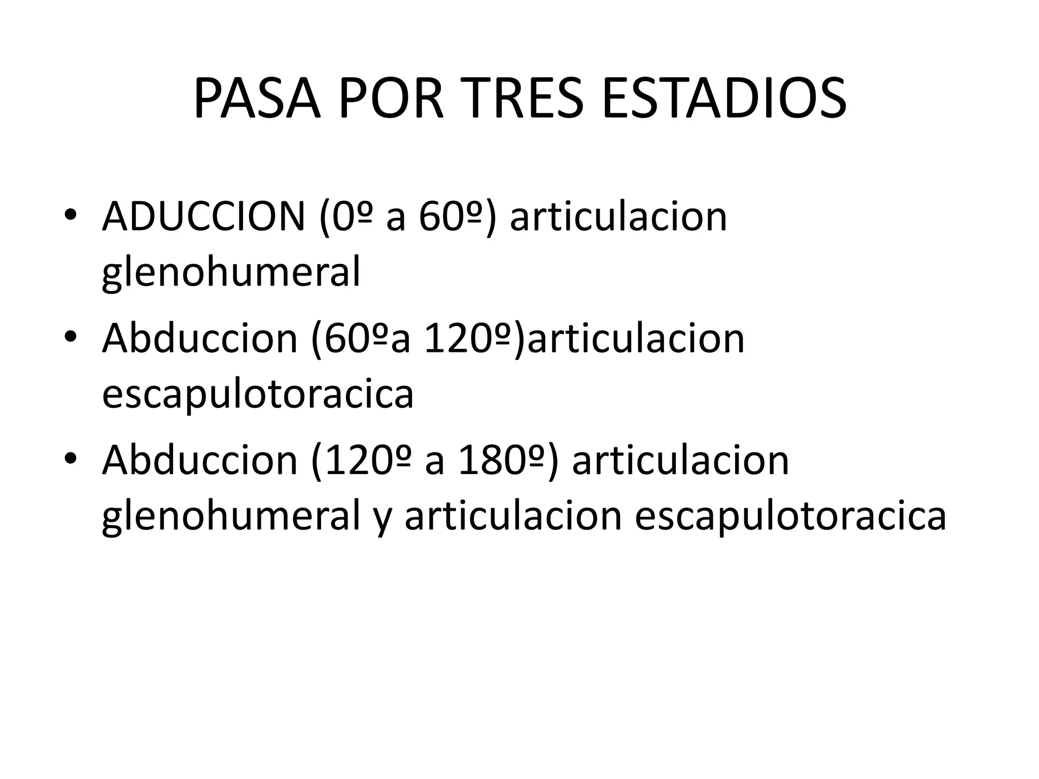 Musculos rotadores | PPTX