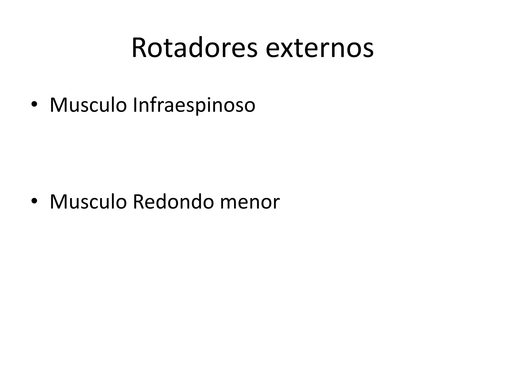 Musculos rotadores | PPTX