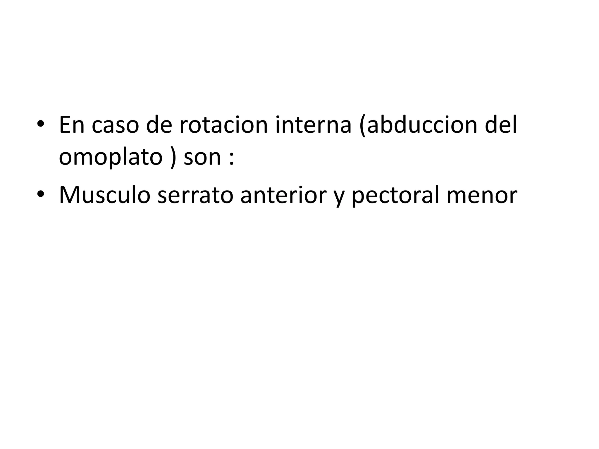 Musculos rotadores | PPTX