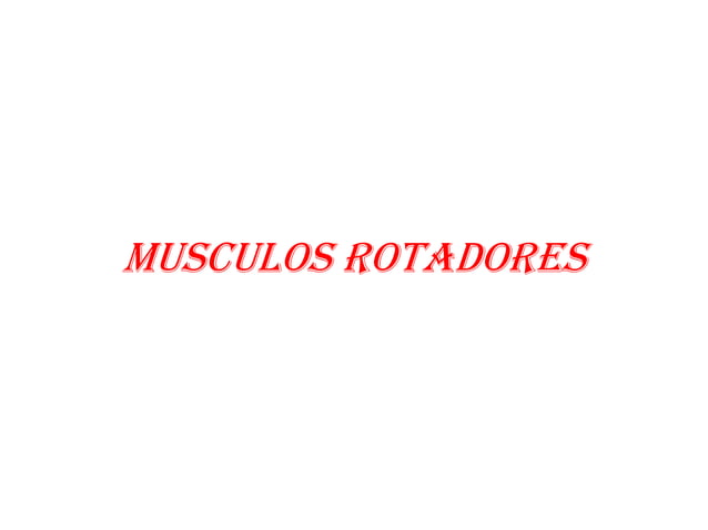 Musculos rotadores | PPTX