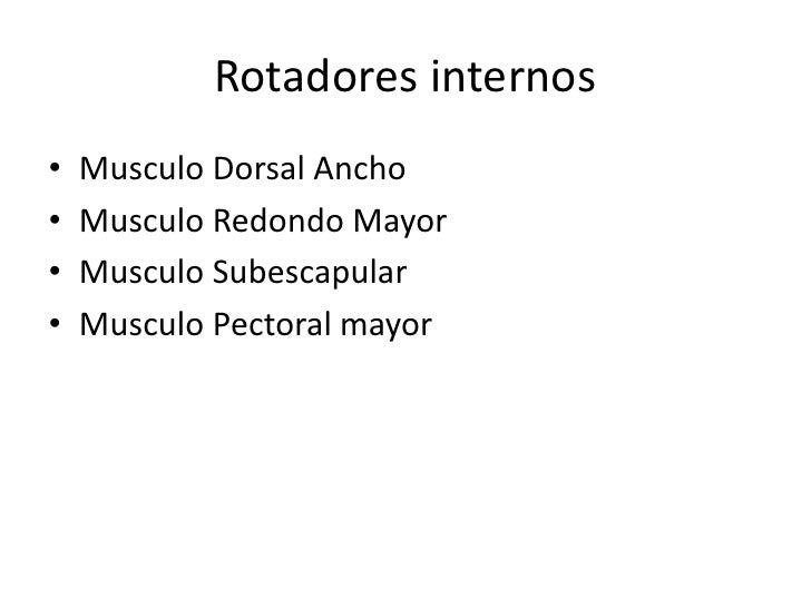 Músculos Rotatores