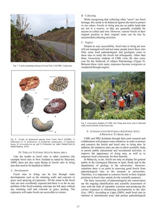 museum.pdf | Geology | Science