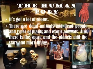 Museum aya | PPT | Museums & Galleries | Attractions