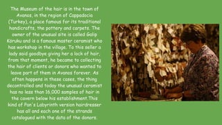 Museum of the hair | PPT