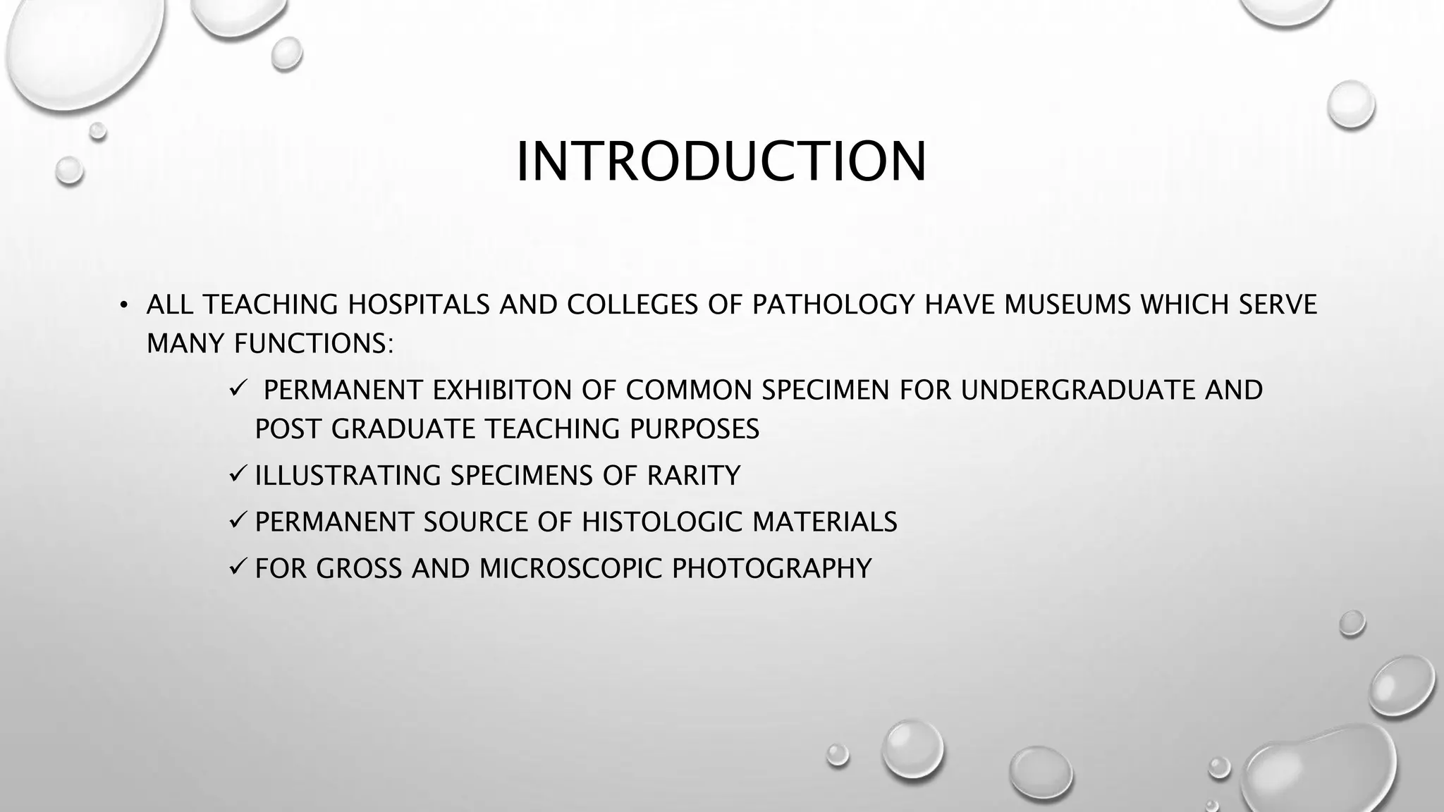 MUSEUM PREPARATION.pptx