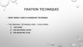 MUSEUM PREPARATION.pptx