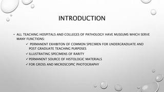 MUSEUM PREPARATION.pptx